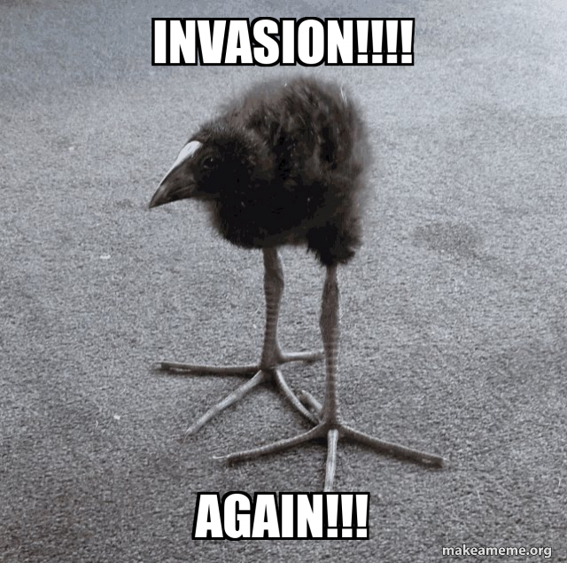 INVASION!!!! AGAIN!!! Meme Generator