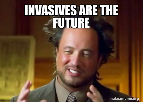 INVASIVES ARE THE FUTURE - Ancient Aliens - Crazy History Channel Guy ...