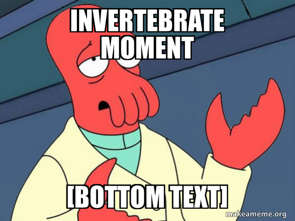 Invertebrate moment [bottom text] - Tricky Zoidberg | Make a Meme