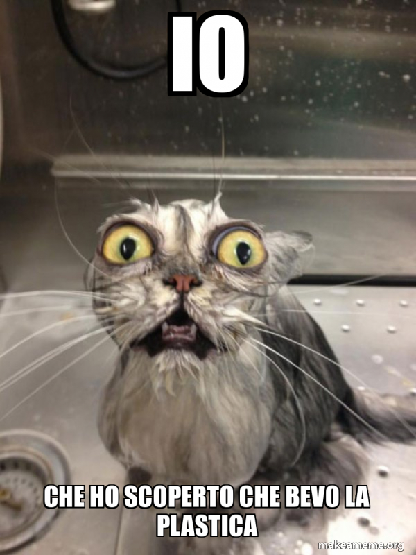 Io Che ho scoperto che bevo la plastica - Cat bath Meme Generator