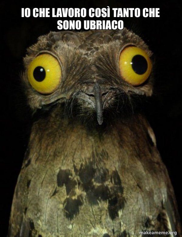 Meme Ubriaco Bruce Springsteen Ubriaco Meme ...