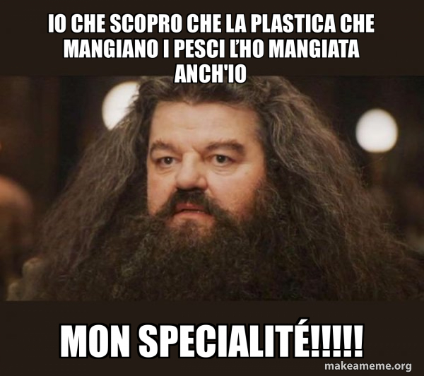 Io che scopro che la plastica che mangiano i pesci ľho mangiata anch'io ...