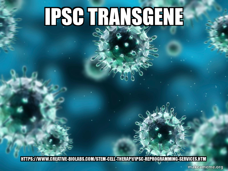 iPSC transgene https://www.creative-biolabs.com/stem-cell-therapy/ipsc ...