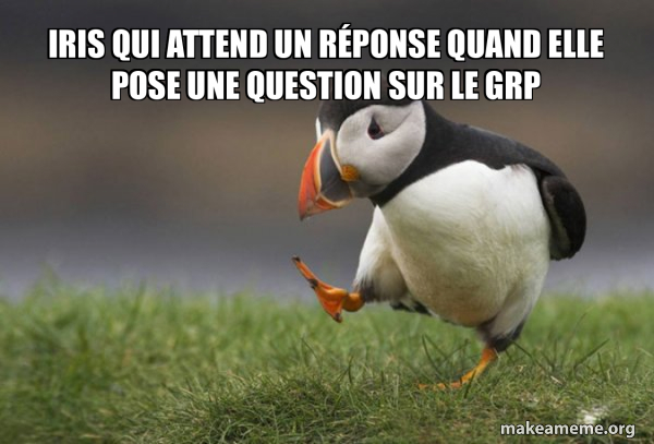 Iris qui attend un réponse quand elle pose une question sur le grp ...