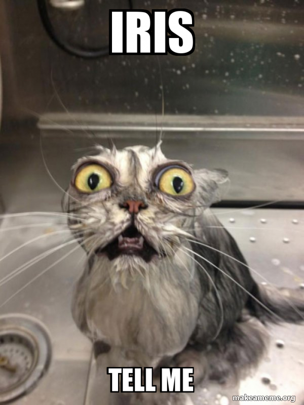 IRiS Tell me - Cat bath Meme Generator