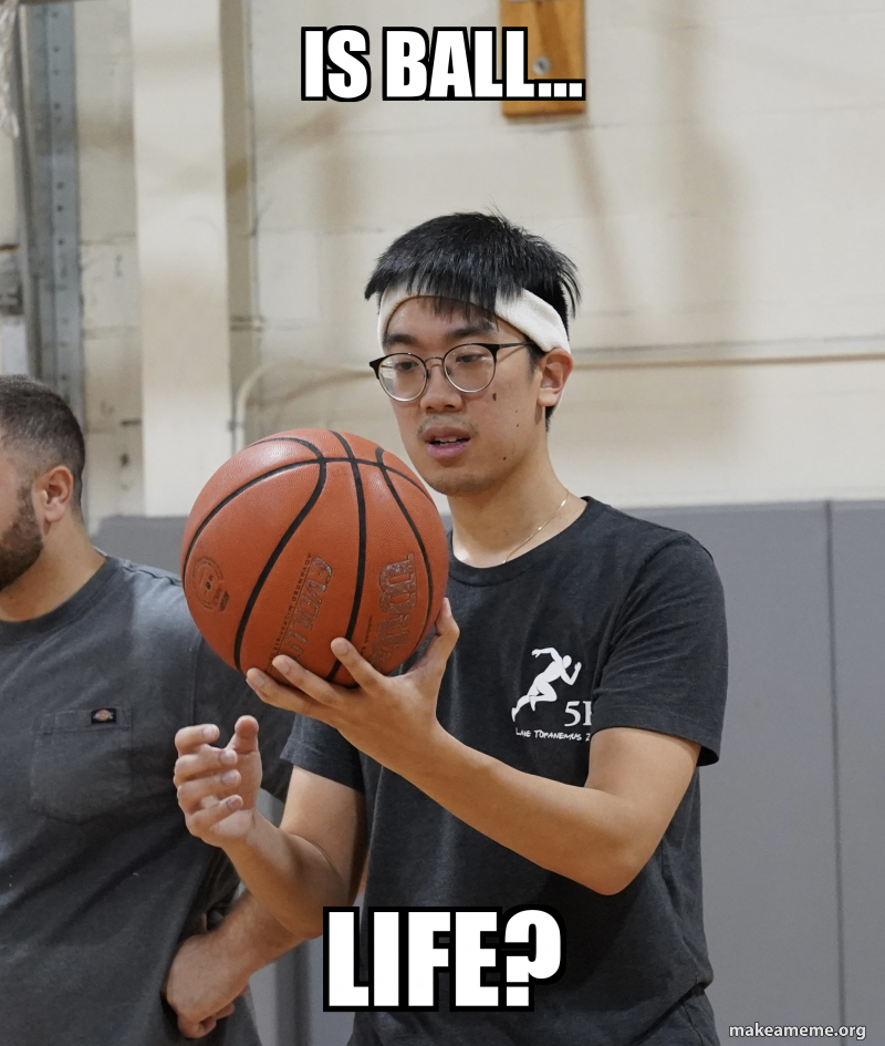 Is ball… Life? Meme Generator