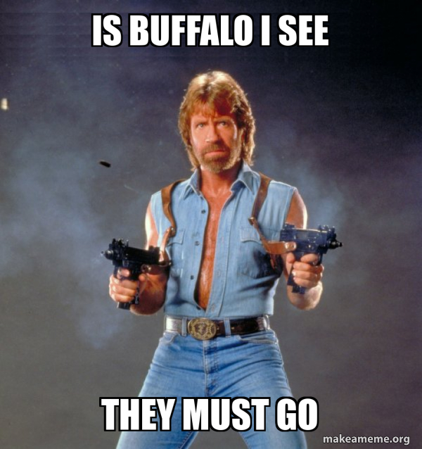 is buffalo i see they must go - Chuck Norris Meme Generator
