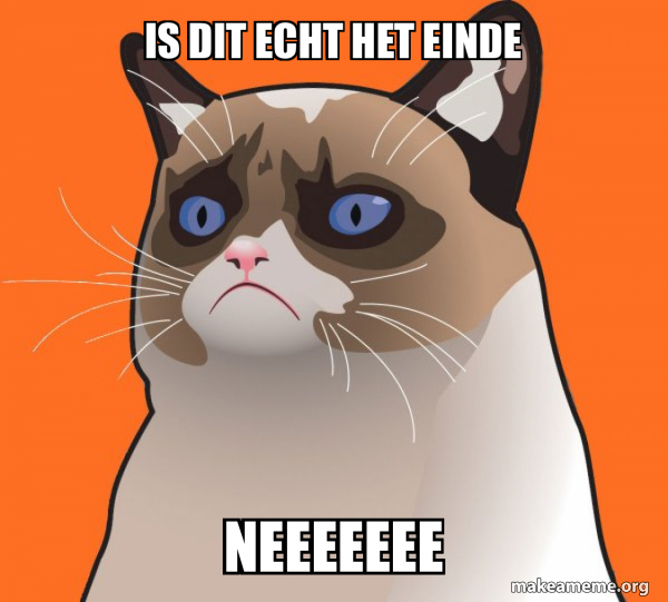 IS DIT ECHT HET EINDE NeEeEeEe - Cartoon Grumpy Cat Meme Generator