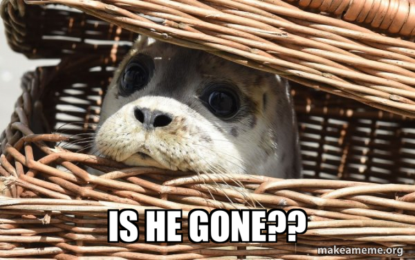 IS HE GONE?? - Impending Doom Seal Meme Generator