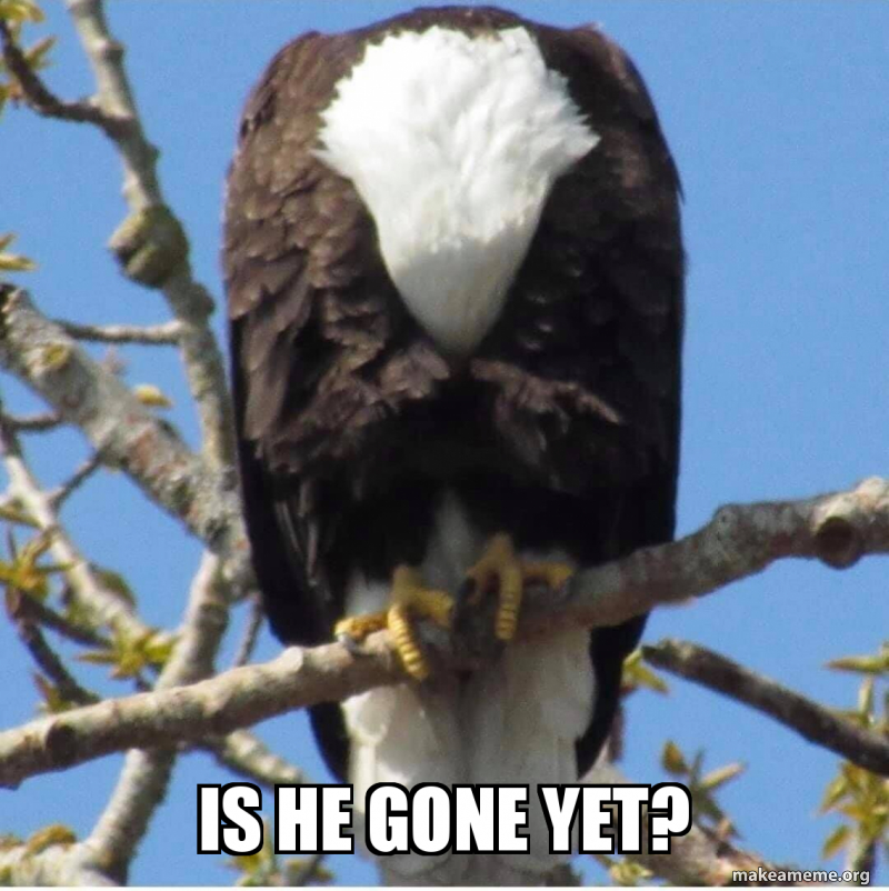 is he gone yet? Meme Generator