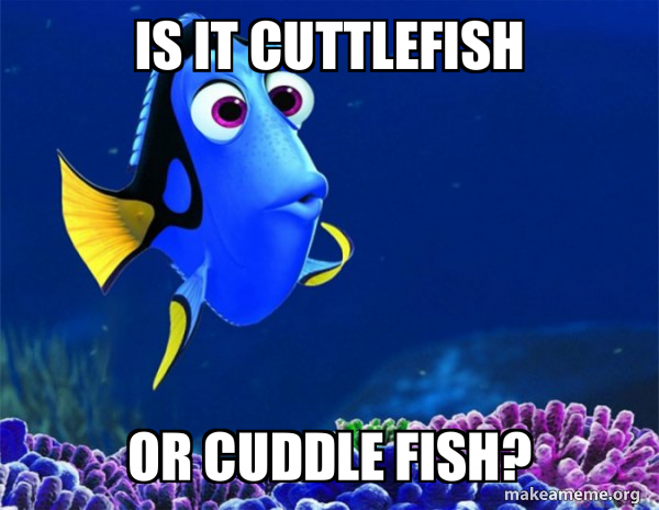 is it cuttlefish or cuddle fish? - Dory from Nemo (5 second memory ...