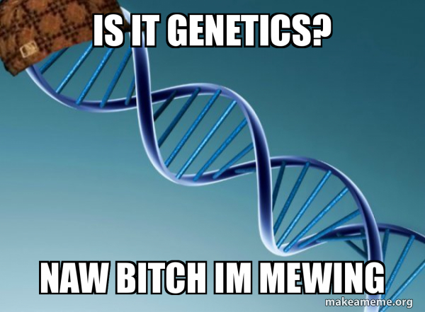 is it genetics? naw bitch Im mewing - Scumbag Genetics Meme Generator