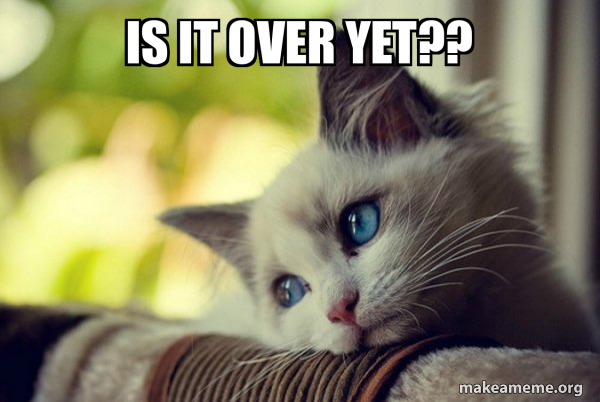 Is it over yet?? - First World Cat Problems Meme Generator