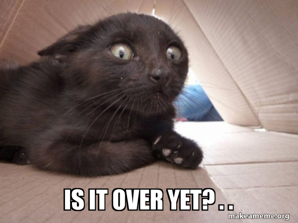 Is it Over Yet? . . - Schitzo Cat Meme Generator