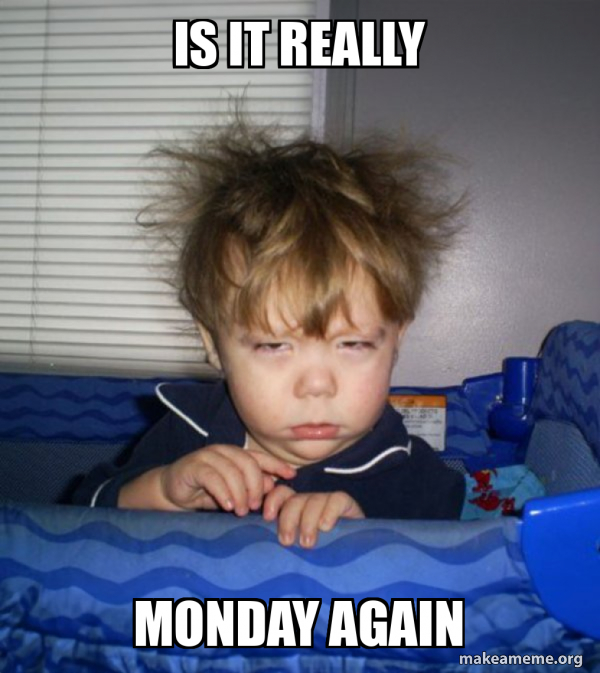 Is it really Monday again - Monday Mornings Meme Generator