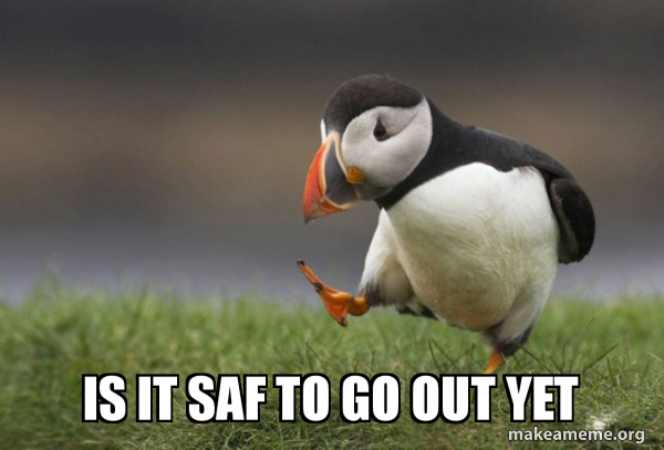 is it saf to go out yet - Unpopular Opinion Puffin Meme Generator