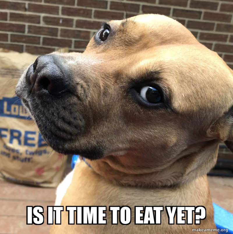 Is it time to eat yet? Meme Generator