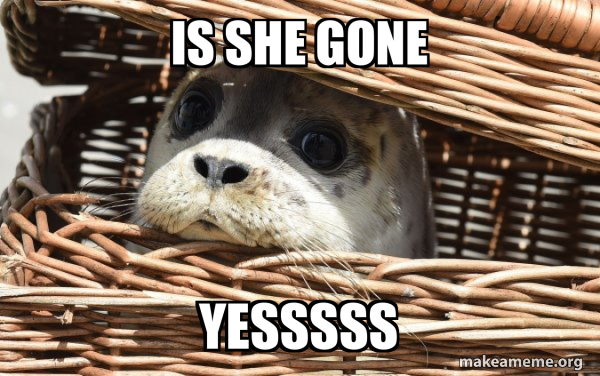 Is she gone Yesssss - Impending Doom Seal Meme Generator