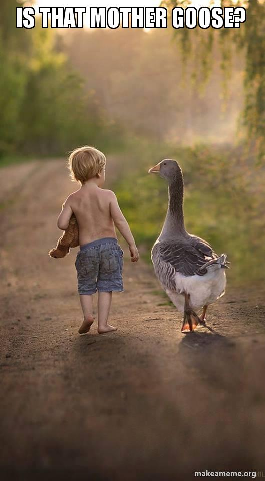 Is That Mother Goose? Meme Generator
