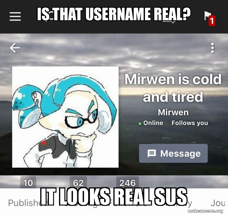 IS THAT USERNAME REAL? IT LOOKS REAL SUS Meme Generator