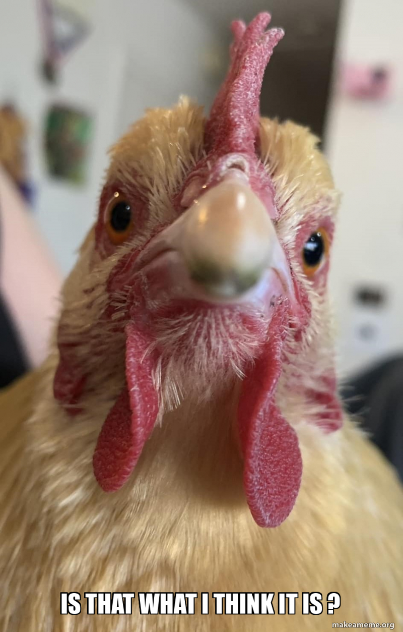 is that what i think it is ? Meme Generator