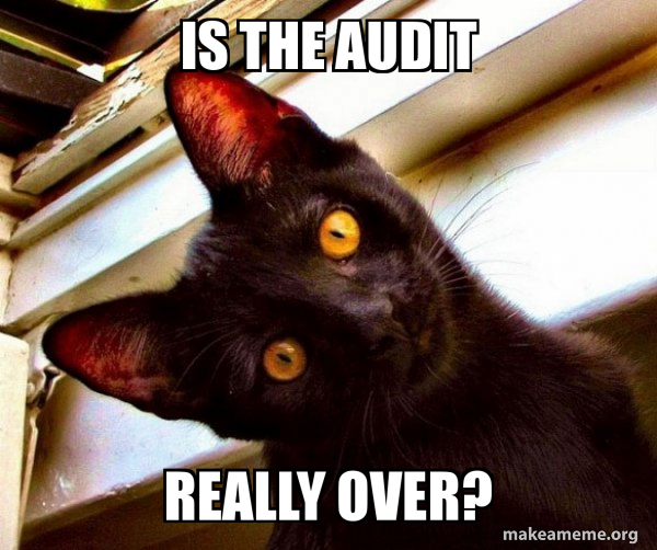 Is the Audit Really over? - Overly Attached Cat | Make a Meme