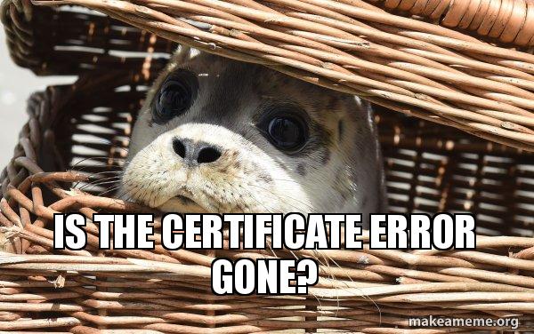 Is the certificate error gone? - Impending Doom Seal Meme Generator