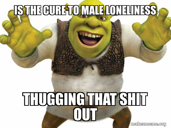 IS THE CURE TO MALE LONELINESS THUGGING THAT SHIT OUT - Shrek Meme ...