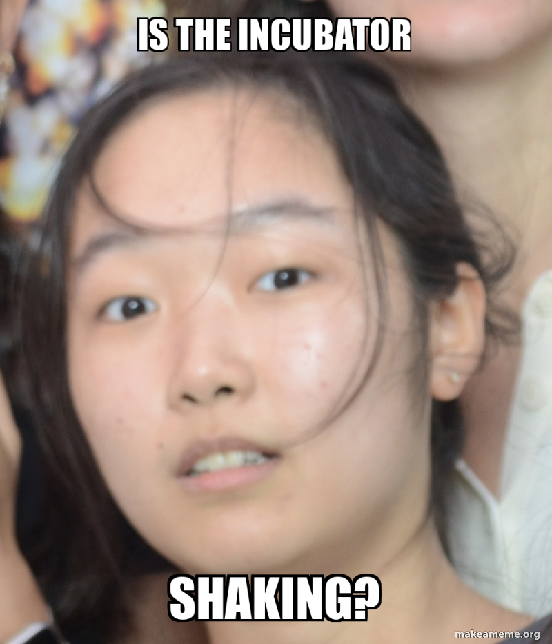 is the incubator shaking? Meme Generator