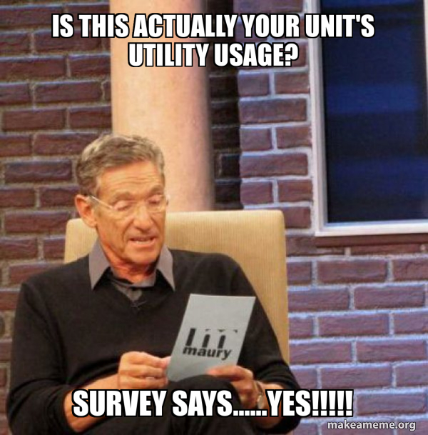 Is this actually your unit's utility usage? Survey says......Yes ...