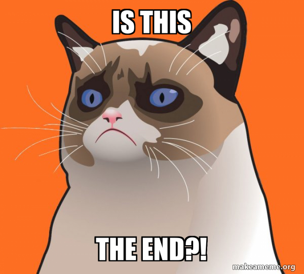 is this the end?! - Cartoon Grumpy Cat Meme Generator