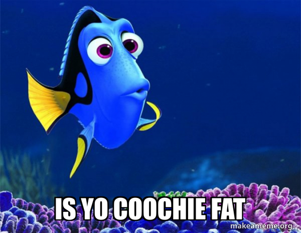 Is yo coochie fat - Dory from Nemo (5 second memory) Meme Generator