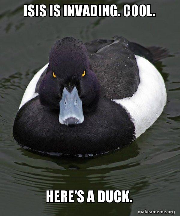 Duck Isis Memes I'm A Soft Little Meme