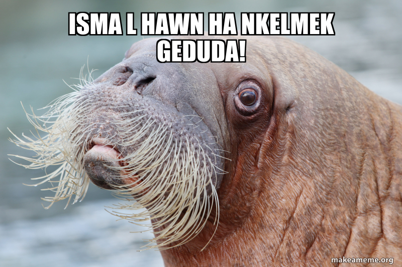 Isma l hawn ha nkelmek geduda! Meme Generator