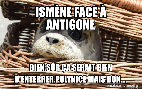 Ismène face à Antigone Bien sûr ça serait bien d'enterrer polynice mais ...