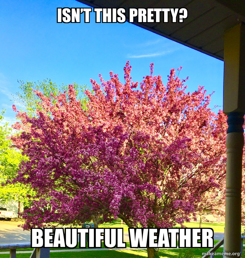Isn’t this pretty? Beautiful weather Meme Generator