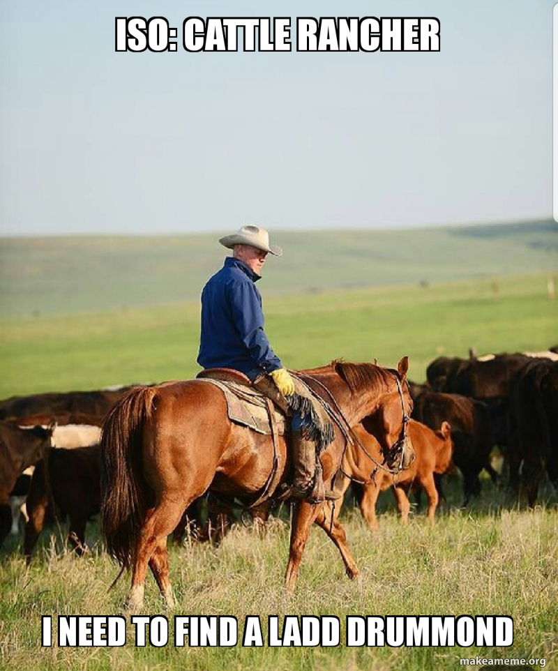 Iso: Cattle Rancher I need to find a Ladd Drummond Meme Generator