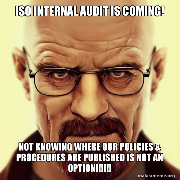 Internal Auditor Meme