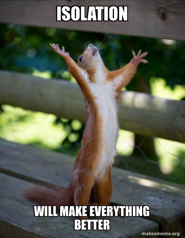 isolation will make everything better - Happy Squirrel Meme Generator