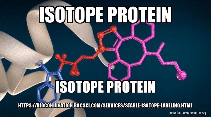 isotope protein isotope protein https://bioconjugation.bocsci.com ...