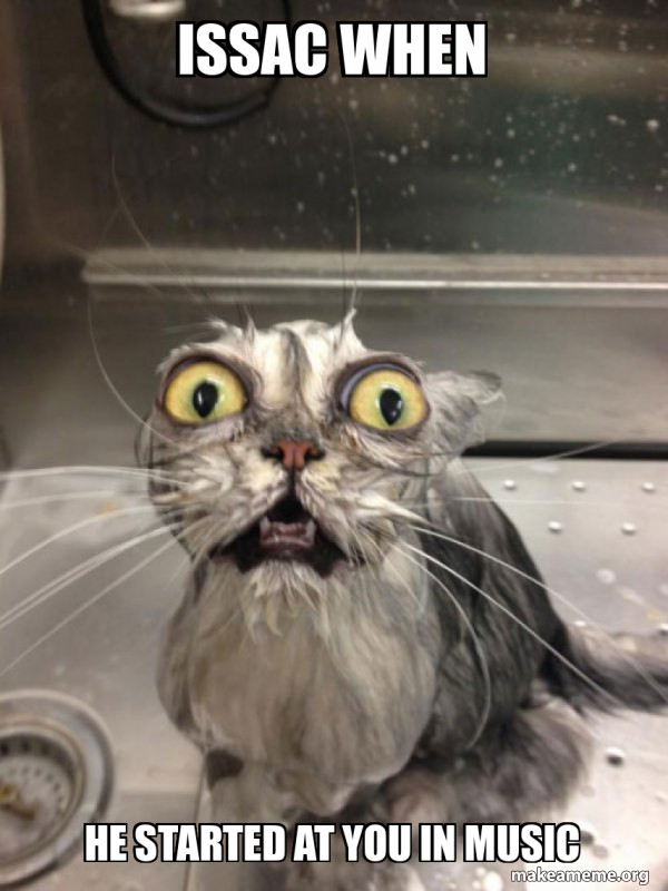 Issac when He started at you in music - Cat bath Meme Generator