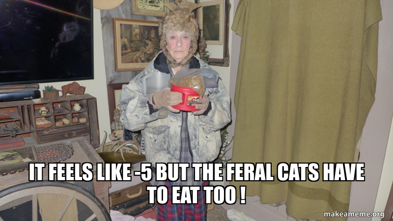 it feels like -5 but the feral cats have to eat too ! Meme Generator