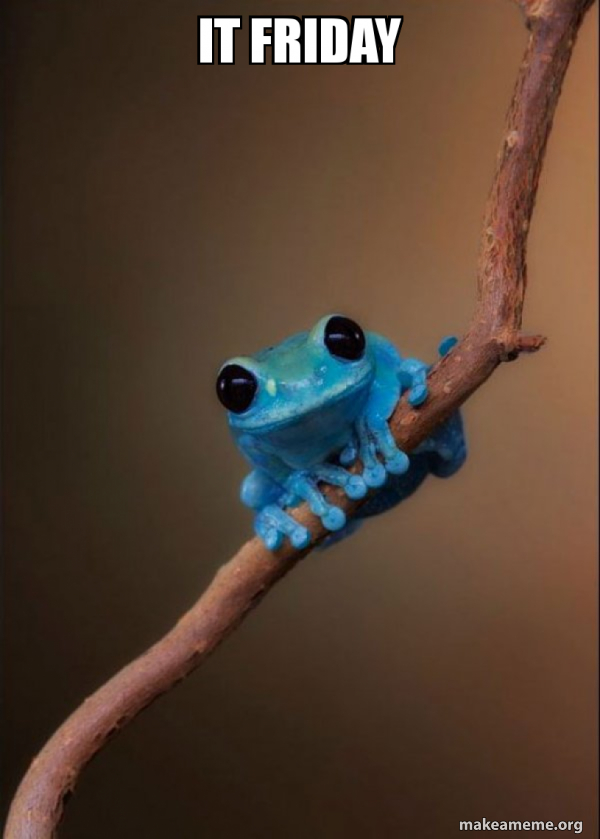 it friday - Small Fact Frog Meme Generator