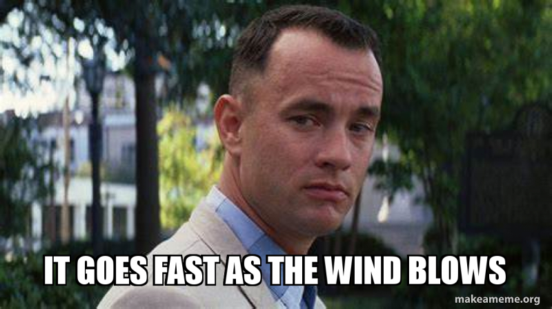 It goes fast as the wind blows Meme Generator