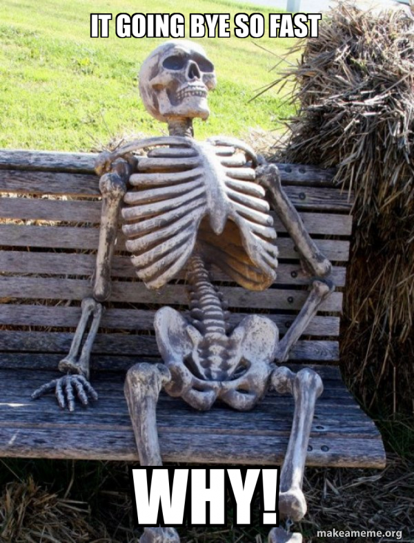it going bye so fast WHY! - Waiting Skeleton Meme Generator
