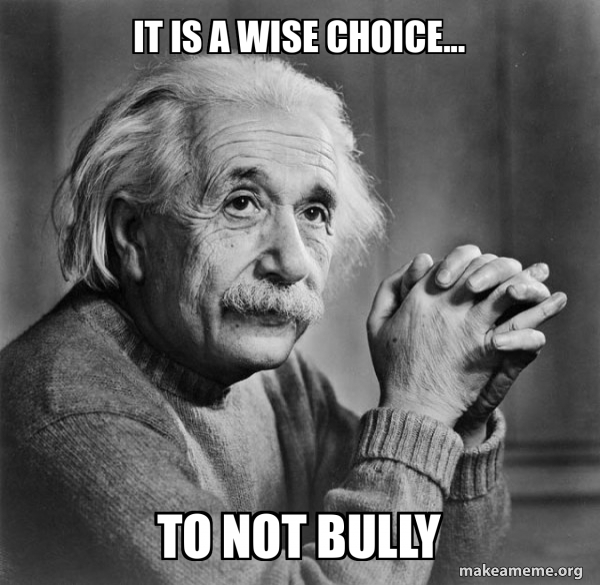it is a wise choice... to not bully - Serious Albert Einstein Meme ...