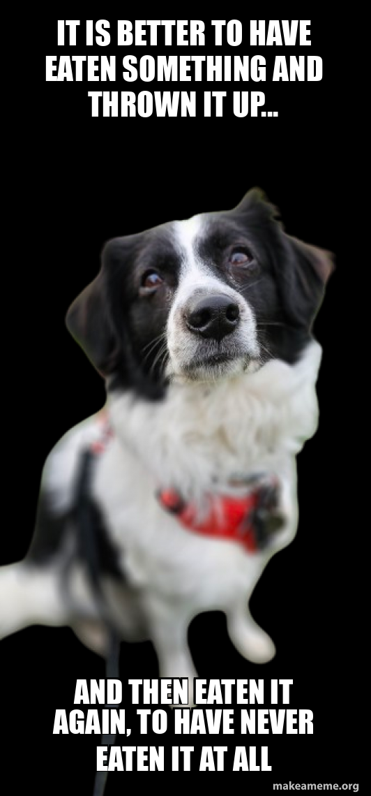 it is better to have eaten something and thrown it up... AND THEN EATEN ...