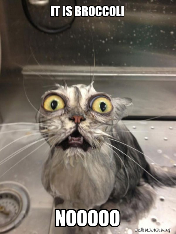 IT IS BROCCOLI NOOOOO - Cat bath Meme Generator