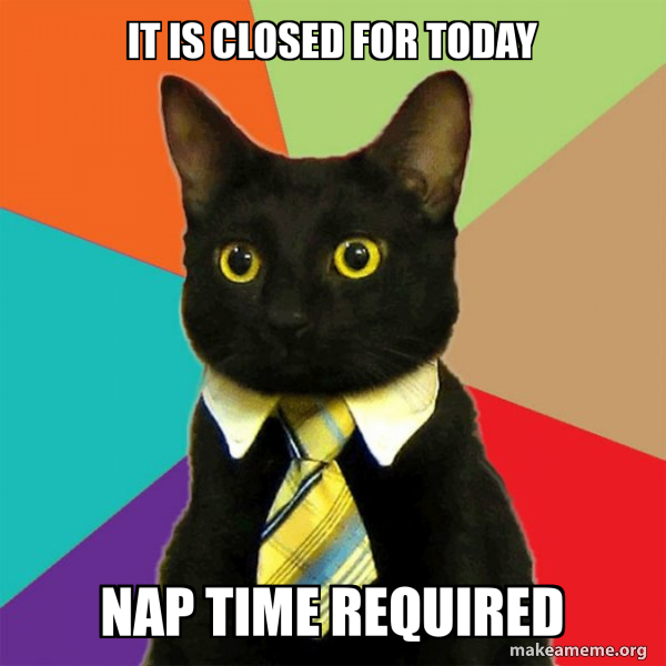 IT is closed for today Nap time required - Business Cat Meme Generator