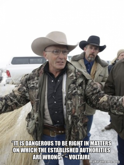 “It is dangerous to be right in matters on which the established ...